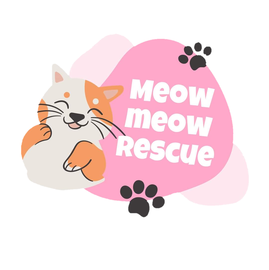 Home [www.meowmeowrescue.com]